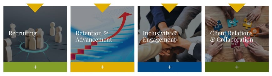 Diversity and Inclusion Widget Based on D&I