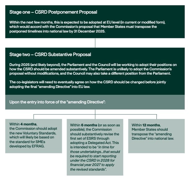 Amending the CSRD