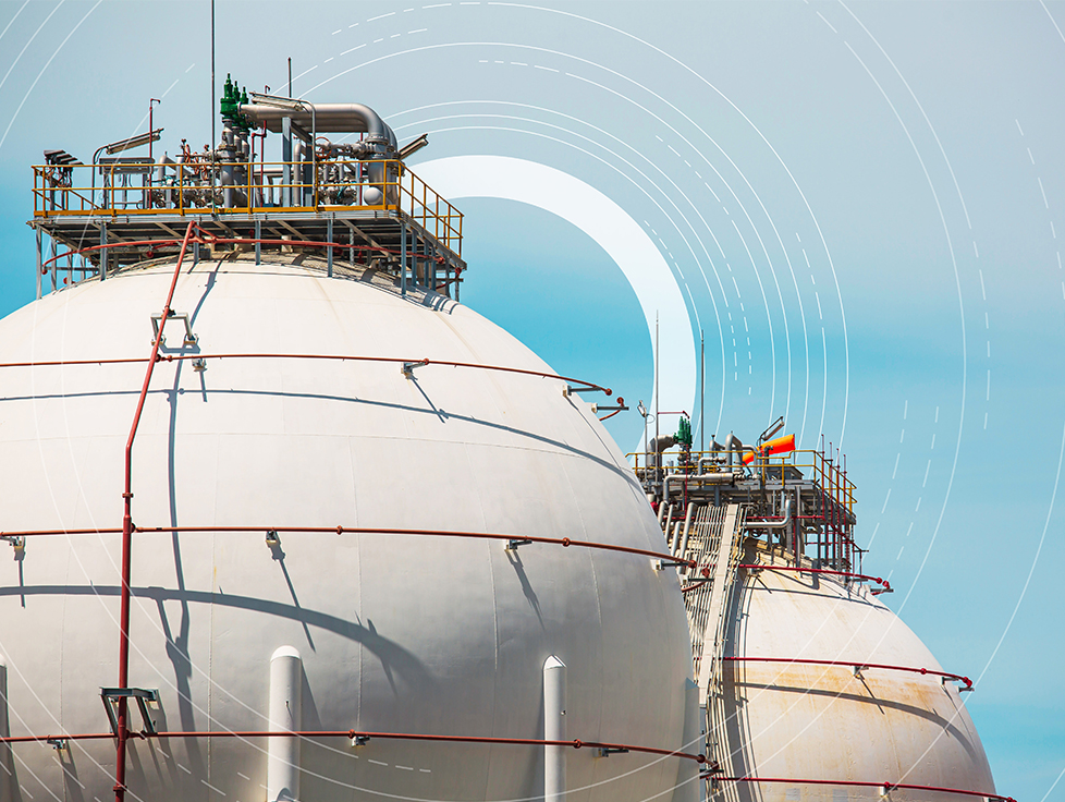 LPG Storage Survey Infographic