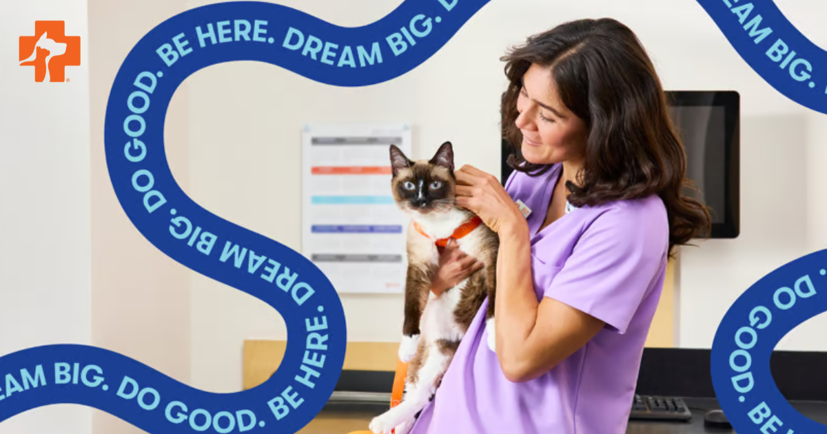 /career-opportunities-growth Career Growth, Vet Jobs, Banfield ...