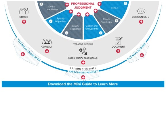 Professional Judgment Framework