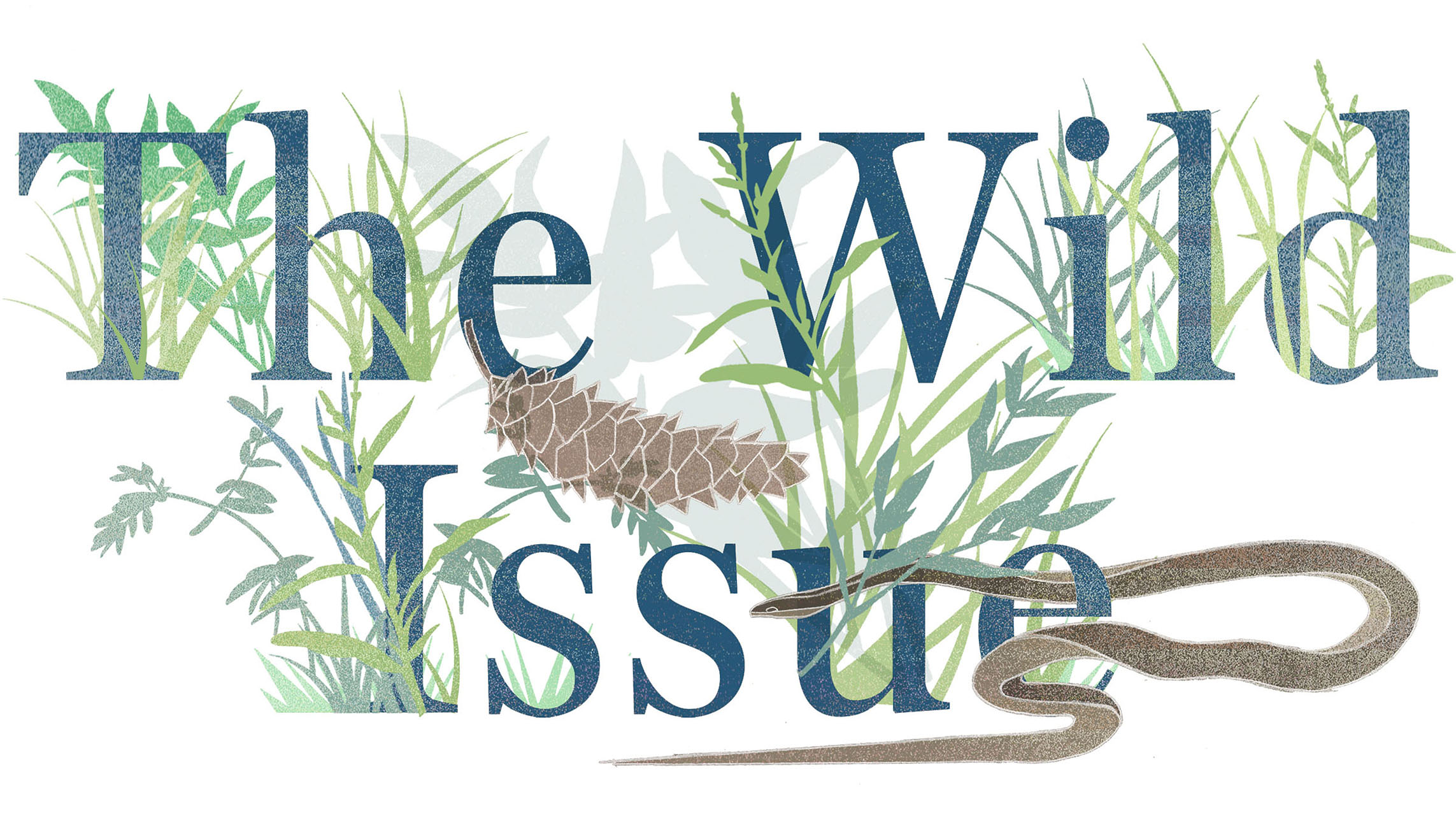 wild-issue-nav https://apps.bostonglobe.com/opinion/ideas/graphics/2025 ...