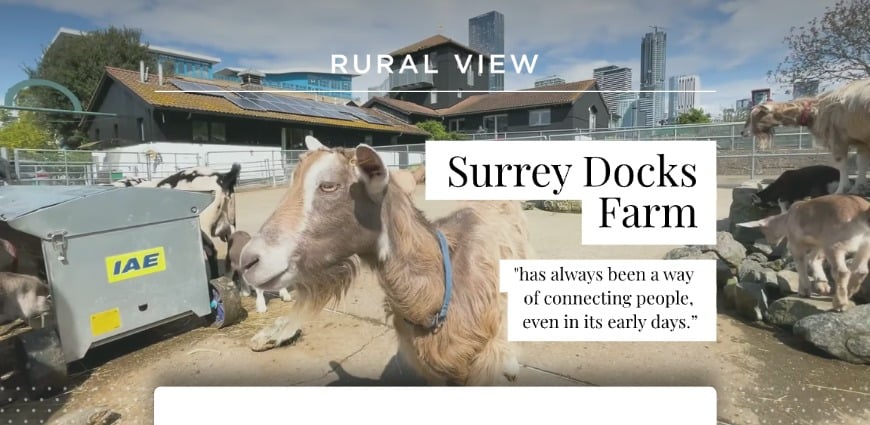 Rural view 2024 - Surrey Docks Farm