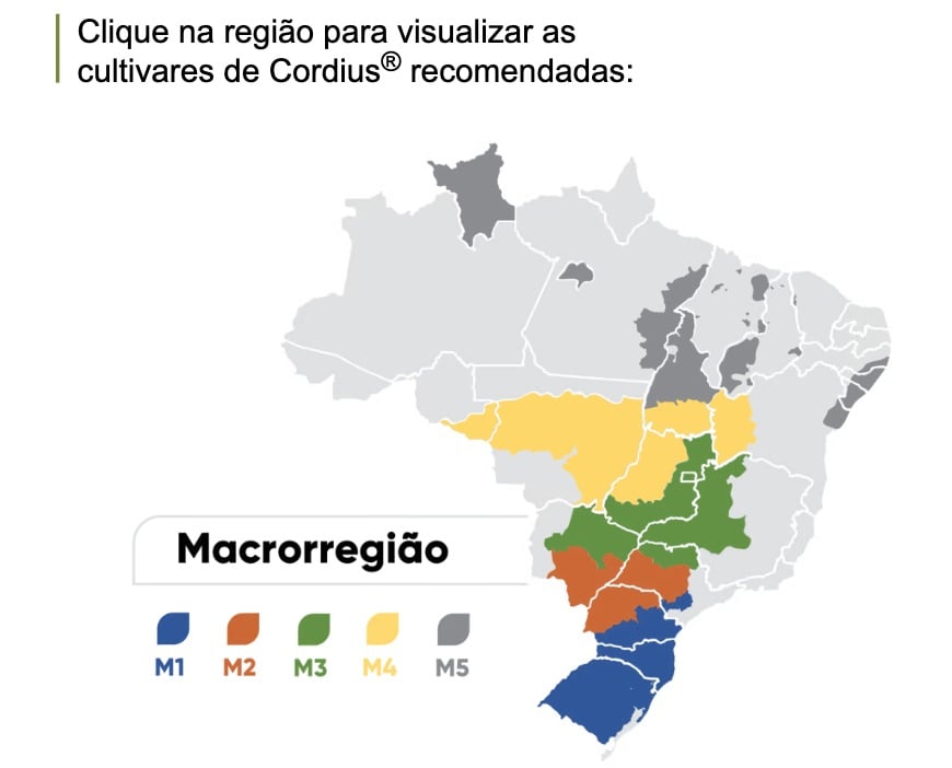 cordius-mapa-isolado