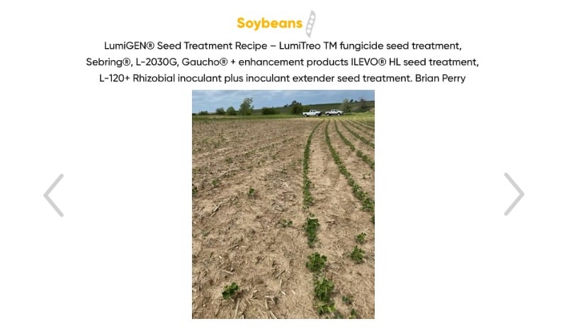 LumiGen Galleries SB