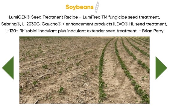 LumiGen Galleries SB Copy