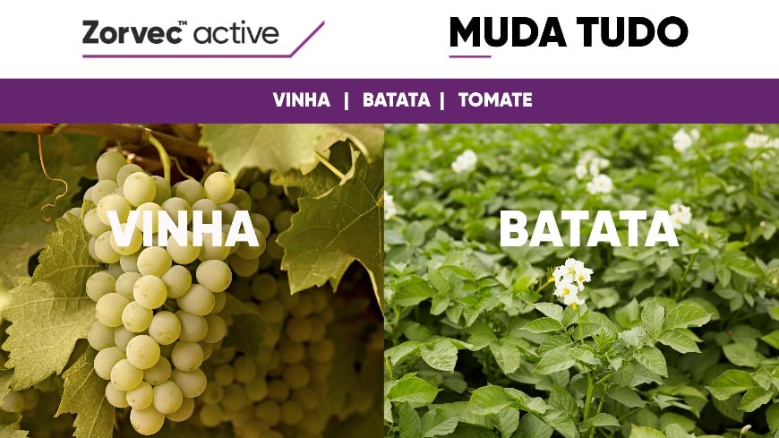 Zorvec Active Vinha - Batata PT Zorvec Actiuve MUDA TUDO