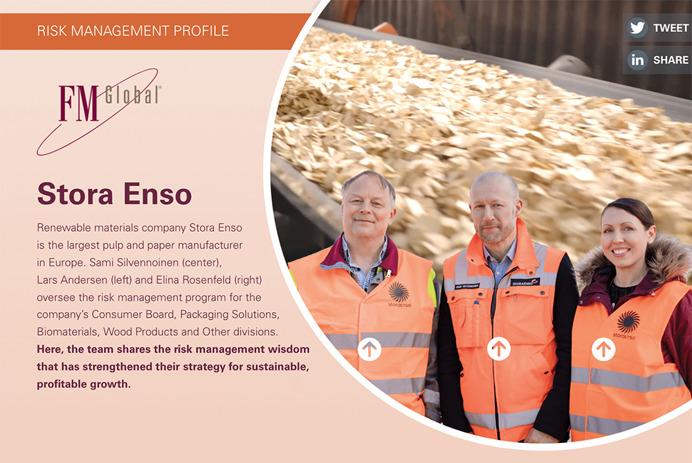 Risk Management Profile: Stora Enso FM Global, Stora Enso, risk ...