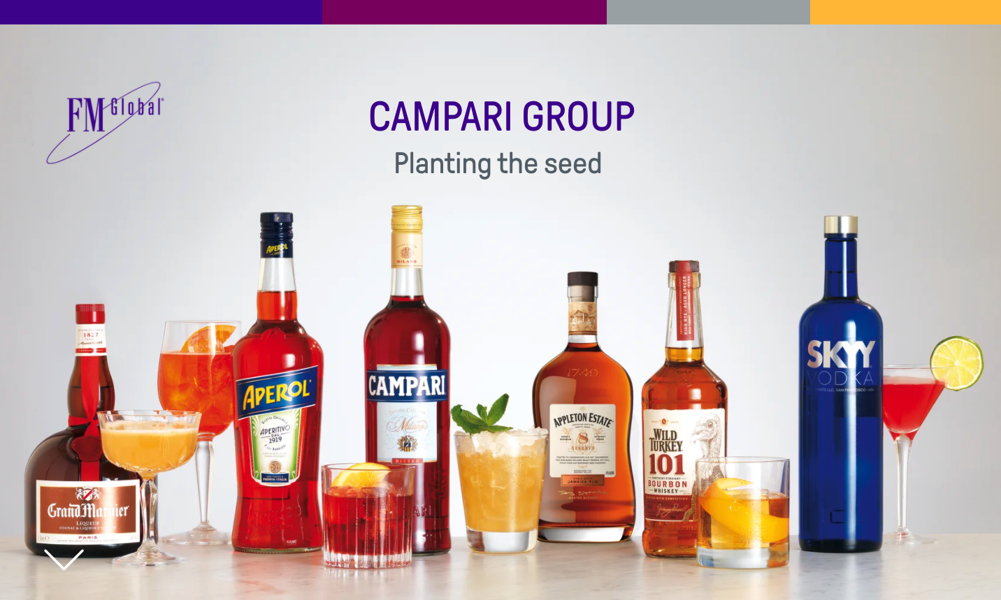 Campari Group - Client Profile