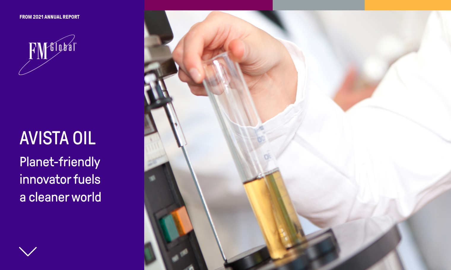 AVISTA OIL - Client Profile