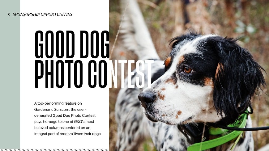 Good Dog Photo Contest