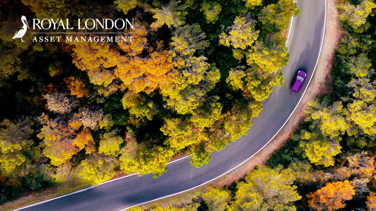 Royal London Asset Management: Pathways to responsible investing Royal ...