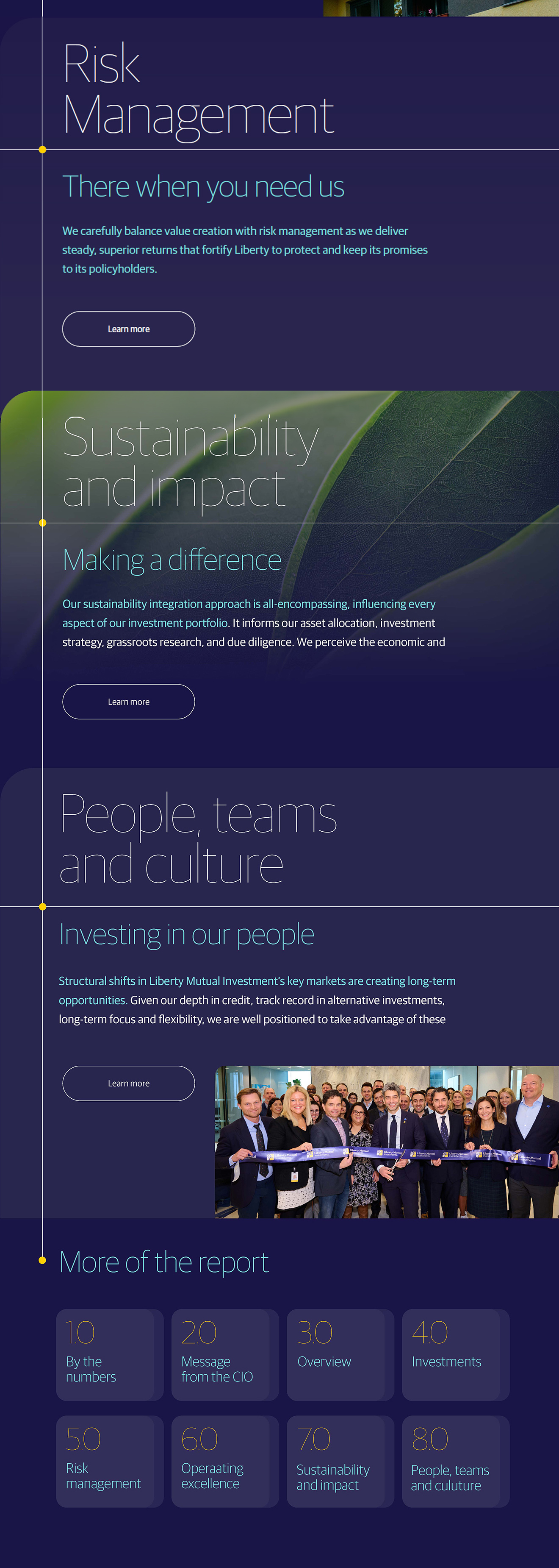 LMI Annual Report - Final