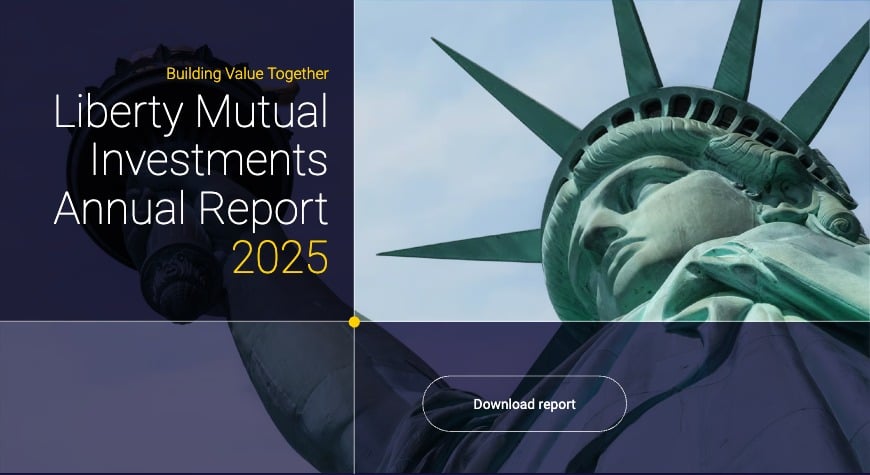 LMI Annual Report - Final