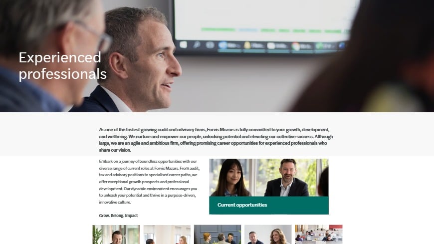 Experienced Professionals - Rebrand 2024 Careers for Experienced ...
