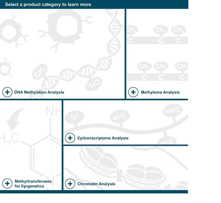 Epigenetics Landing Page Navigation Q5, polymerase, high-fidelity, PCR ...