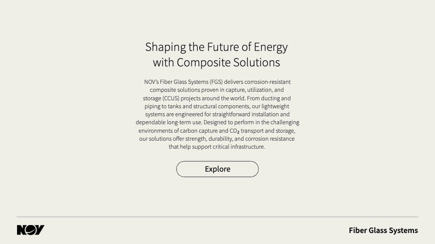 FGS - Fulfilling Global Sustainability - 102257