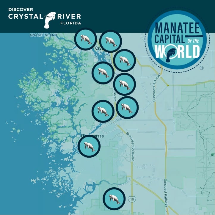 Crystal River Florida Map