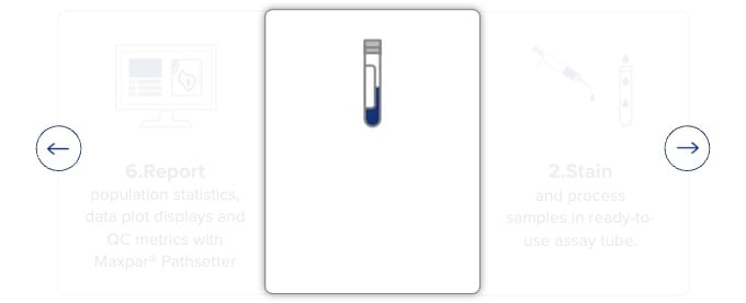 DLS Workflow Cards Carousel