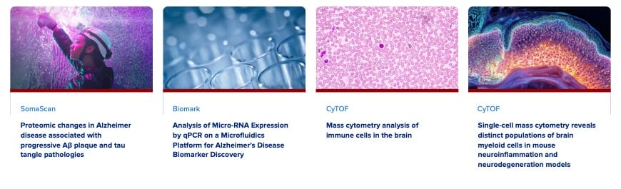 Resource Cards - Neuro v2