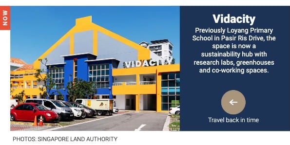 SLA ST 2025 FEB VIDACITY