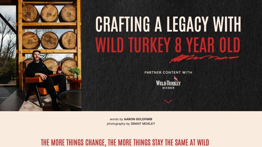 Wild Turkey Photo Essay V2